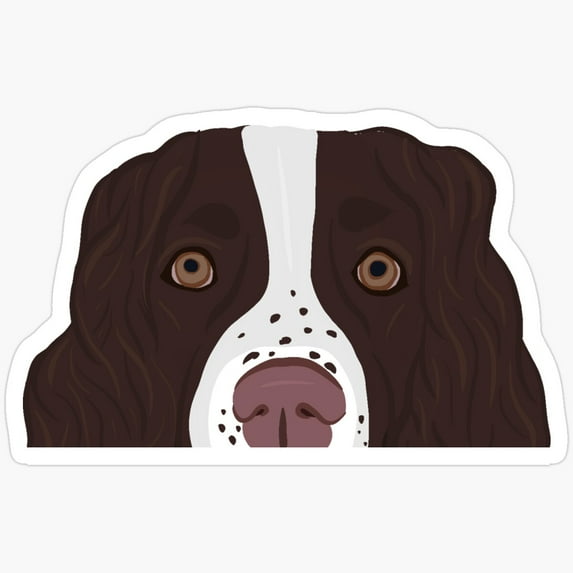 Kira Sticker - Curious Brown Springer Spaniel Sticker, Funny Waterproof ...