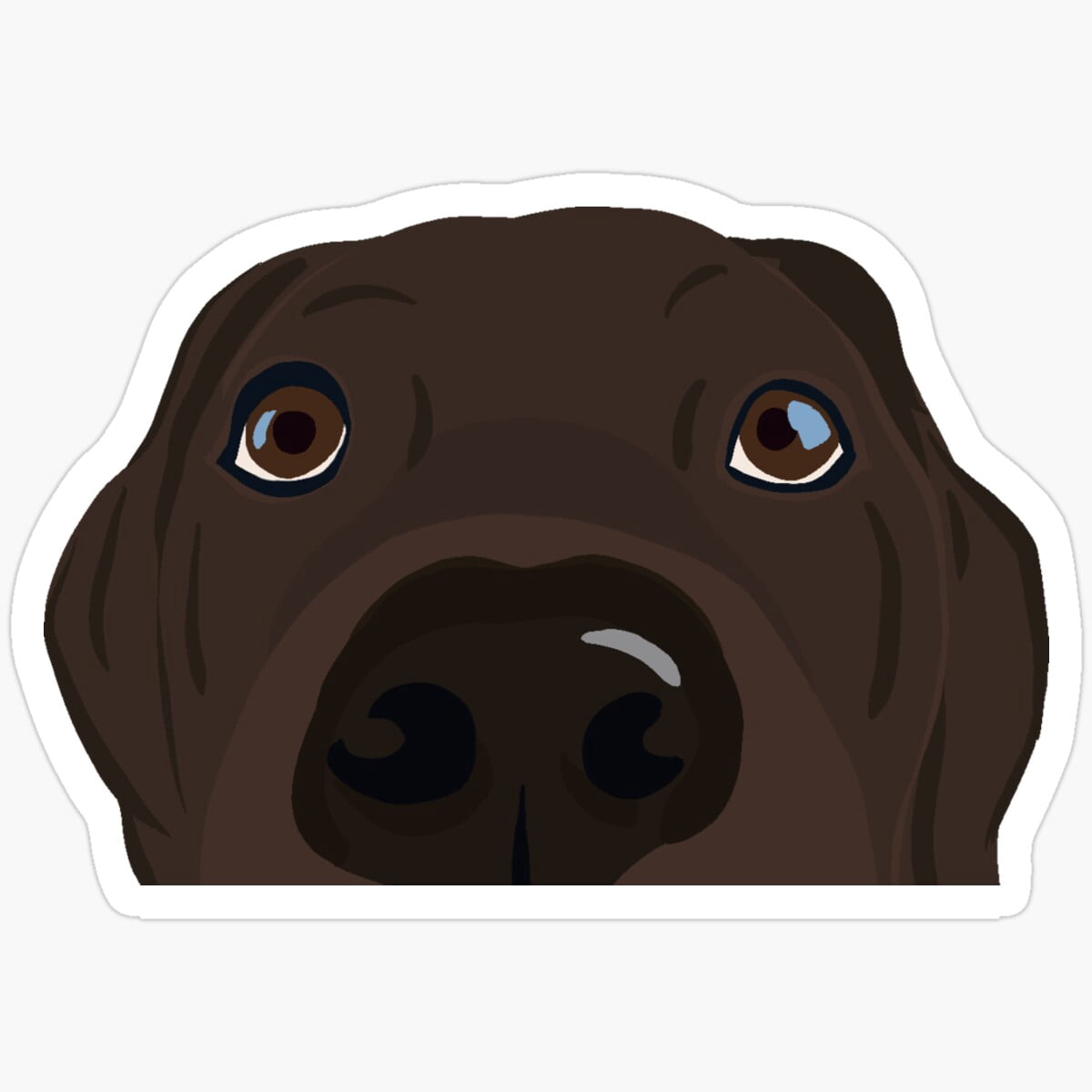 Kira Sticker - Curious Chocolate Labrador Puppy Sticker, Funny ...