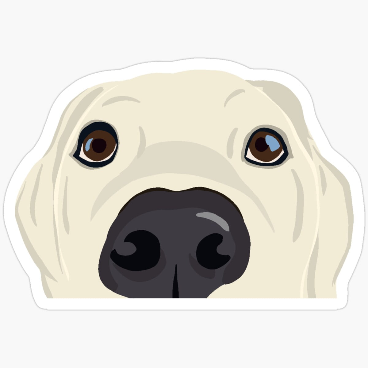 Kira Sticker - Curious White/Cream Labrador Puppy Sticker, Funny ...