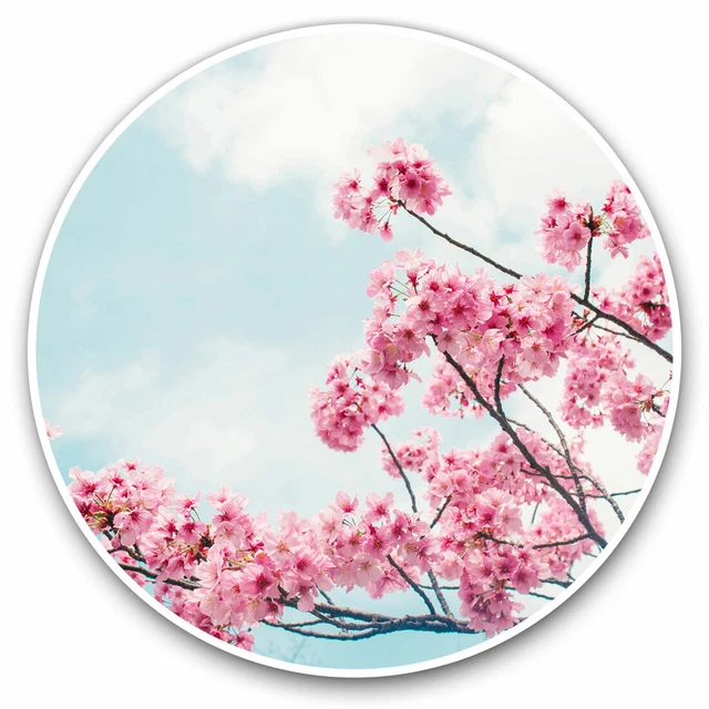 Kira Sticker With Cute Cherry Blossom Tree Flowers Cool Gift Decorative ...