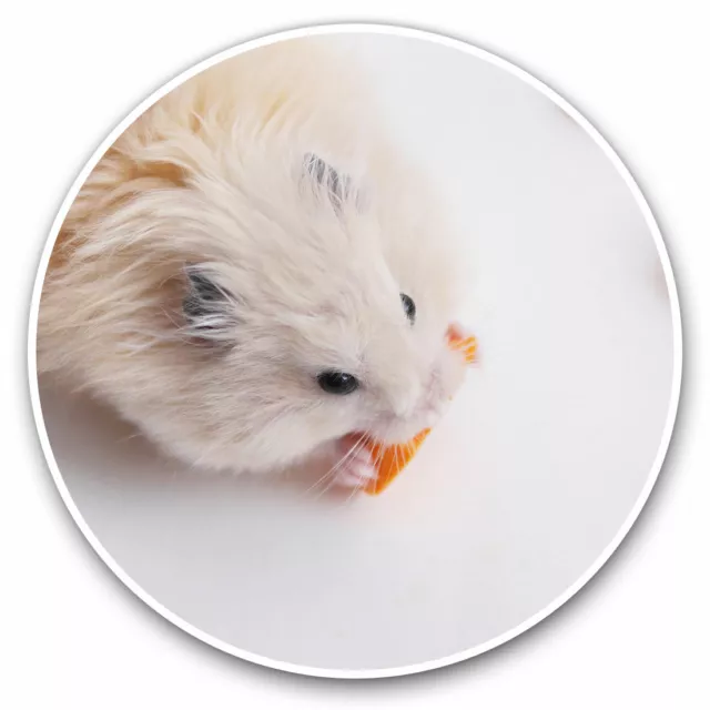 Kira Sticker With Cute Hamster Pet Mouse Mice Cool Gift Decorative ...