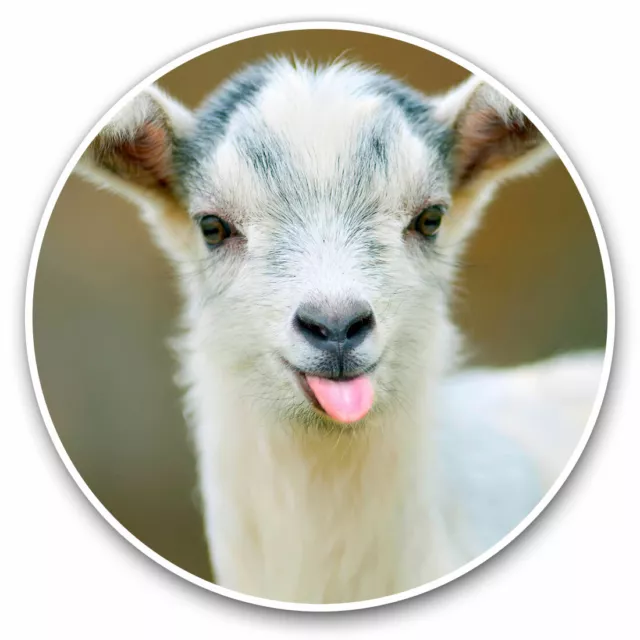 Kira Sticker With Cute White Goat Farm Animal Cool Gift Decorative ...