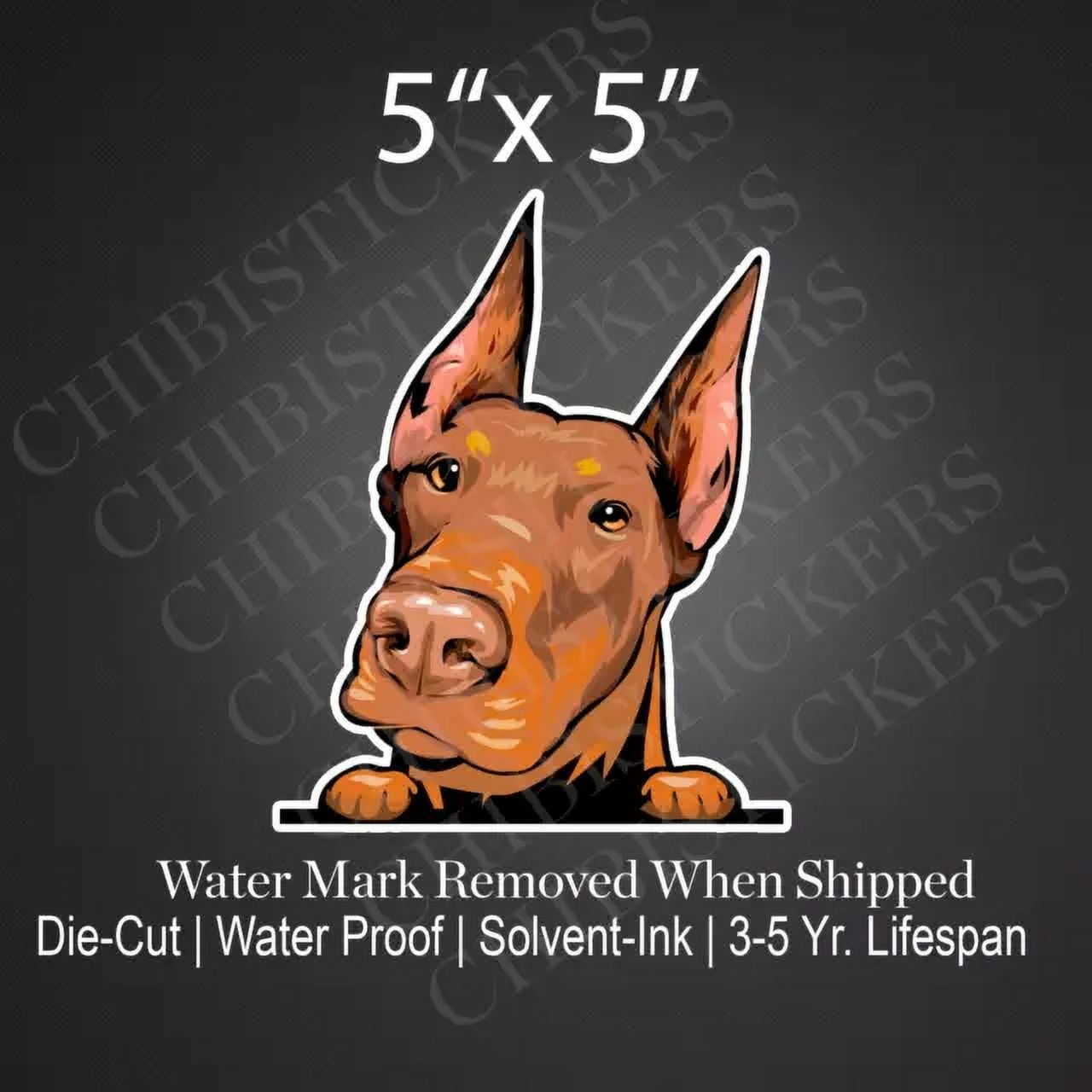 Kira Sticker With Doberman Pinscher Realistic Dog Peeker Sticker Vinyl ...