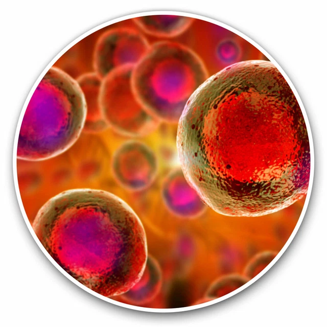 Kira Sticker With Embryonic Stem Cells Biology Science Cool Gift ...