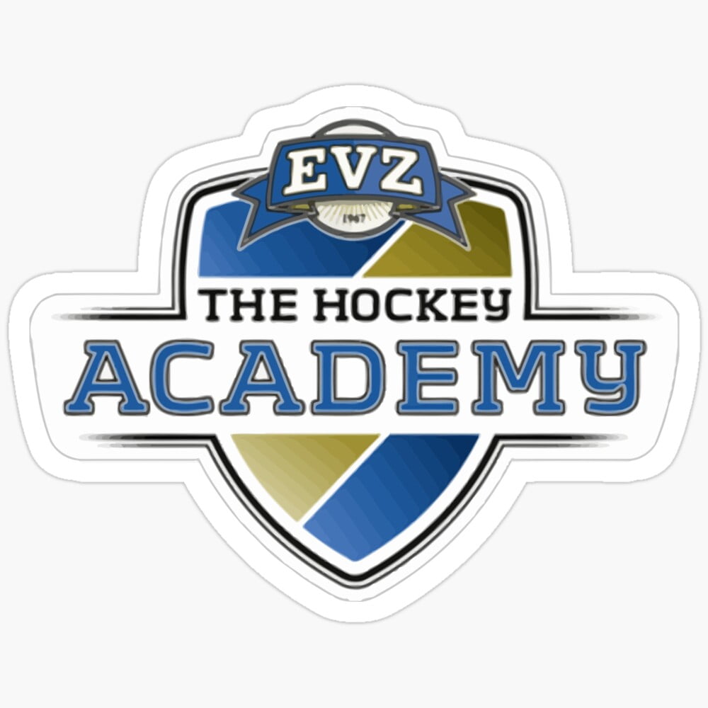 Kira Sticker - Evz Academyperfect Sticker Gift For Everyone ) - Walmart.com