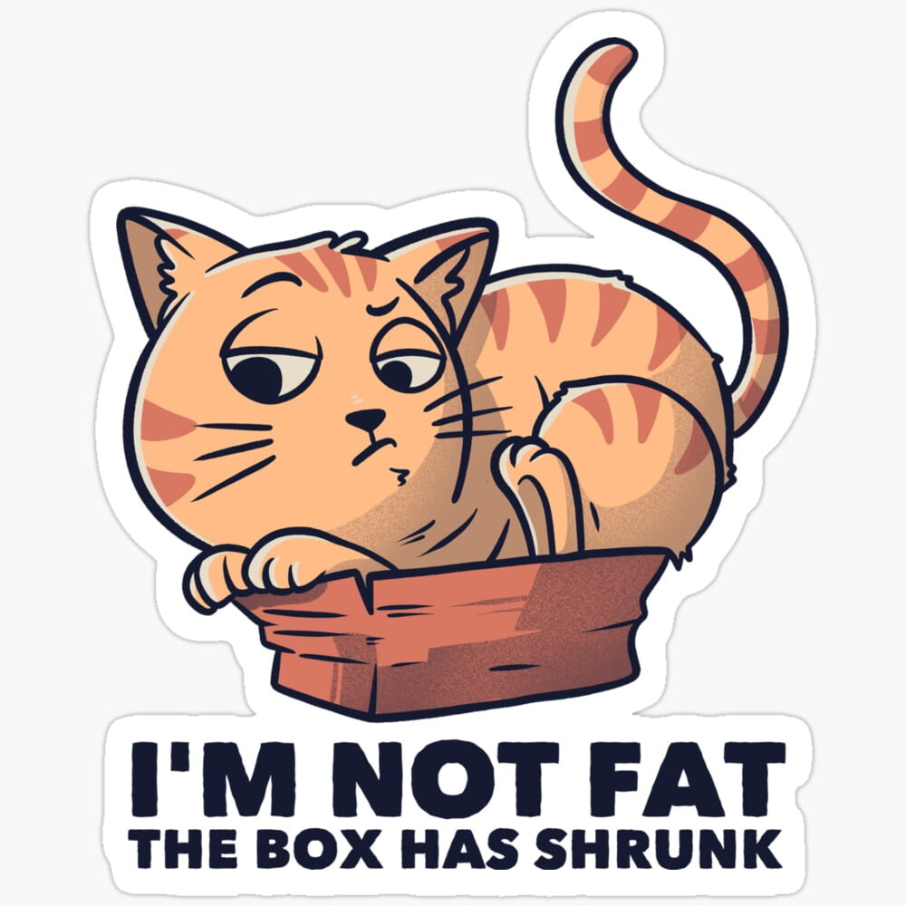 Kira Sticker With I'M Not Fat The Box Has Shrunk Cat Gift Decorative ...