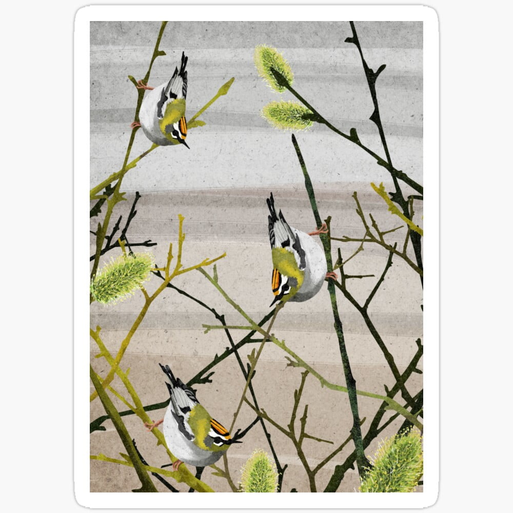 Kira Sticker - Firecrests - Phone Stickers, Waterproof Decals Water ...