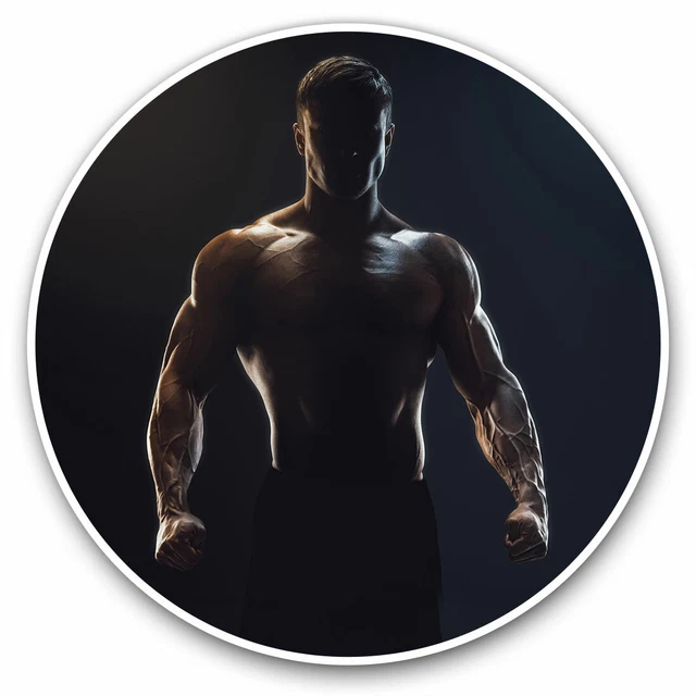 Kira Sticker With Fitness Fighter Boxing Man Gym Cool Gift Decorative ...