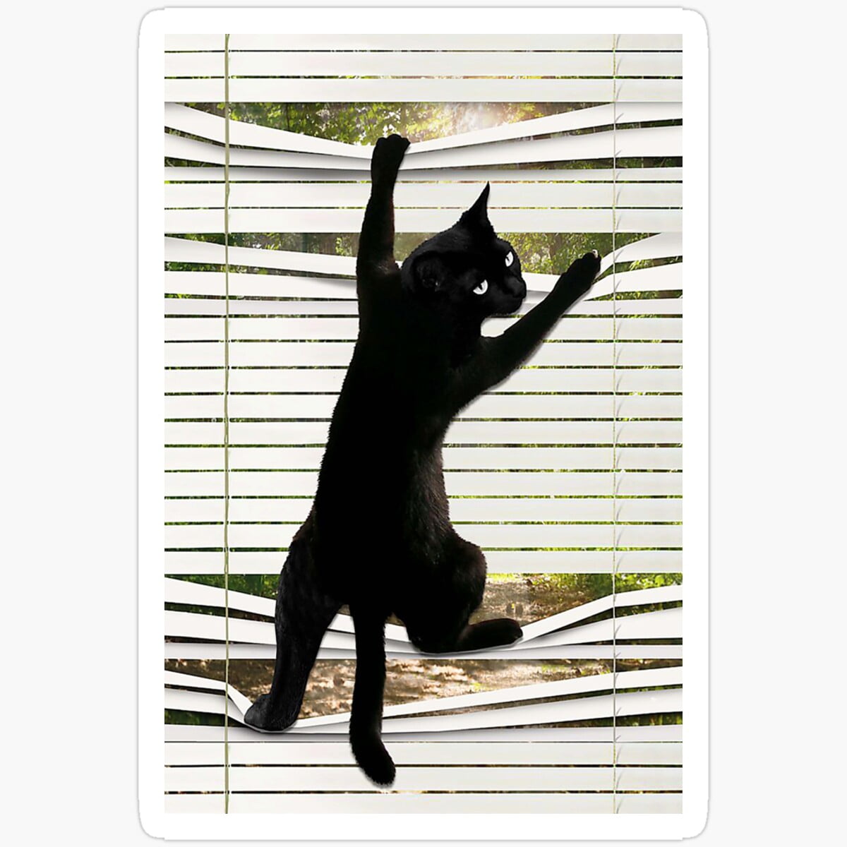Kira Sticker - Funny Black Cat Climbing Out Window Cat Gift Sticker ...