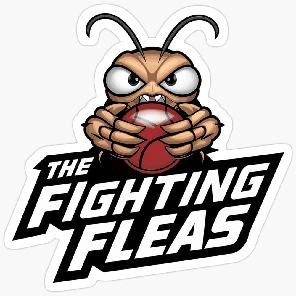 Kira Sticker - Get Bitten By The Bug Of Excitement - Cheer For The ...