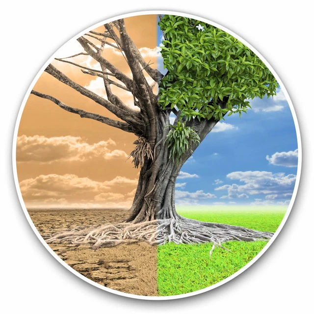 Kira Sticker With Global Warming Concept Tree Cool Gift Decorative ...