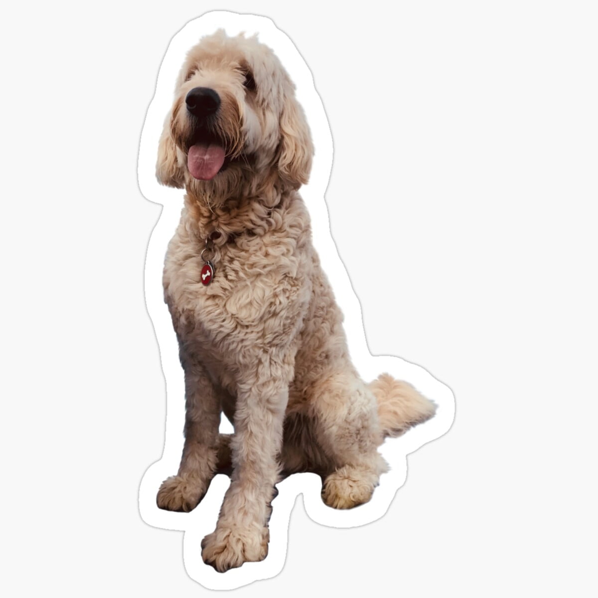 Kira Sticker - Golden Doodle Sticker, Funny Waterproof Decal For Pet ...