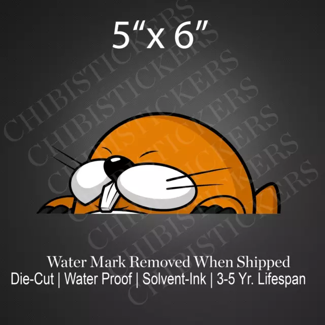 Kira Sticker With Ground Mole Cartoon Rat Car Window Peeking Peeker ...