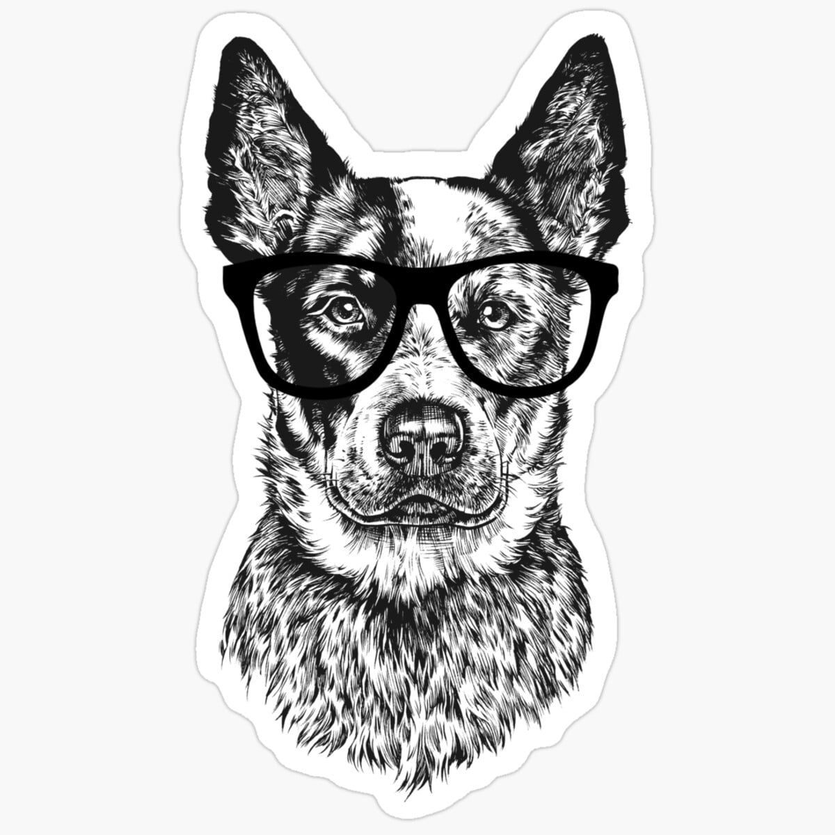 Kira Sticker - Hipster Heeler Dog Line Drawing Sticker, Funny ...