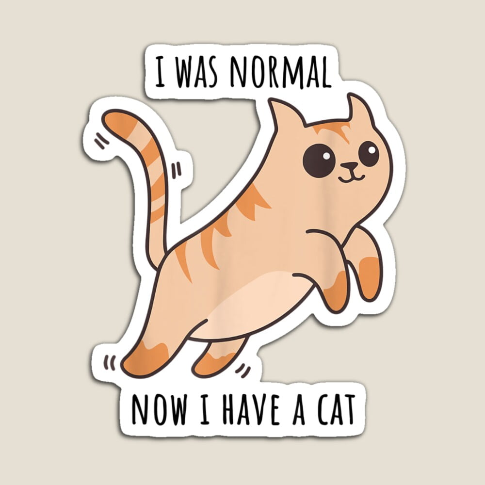 Kira Sticker With I Was Normal Now I Have A Cat Sticker Decorative ...