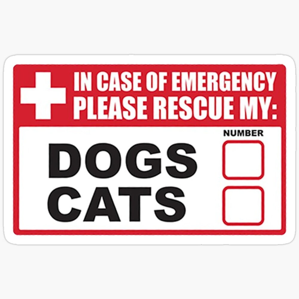 Kira Sticker - In Case Of Emergency Pets Gift For You - Phone Stickers ...