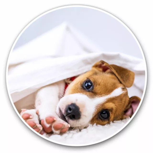 Kira Sticker With Jack Russell Terrier Dog Puppy Animals Cool Gift ...