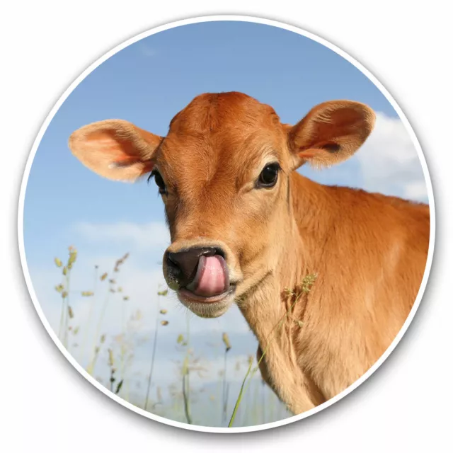 Kira Sticker With Jersey Cow Calf Cattle Farm Cool Gift Decorative ...