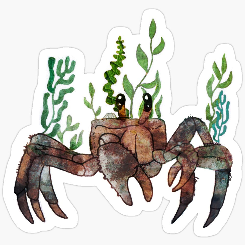 Kira Sticker - Kelp Crab - Phone Stickers, Waterproof Decals Water ...