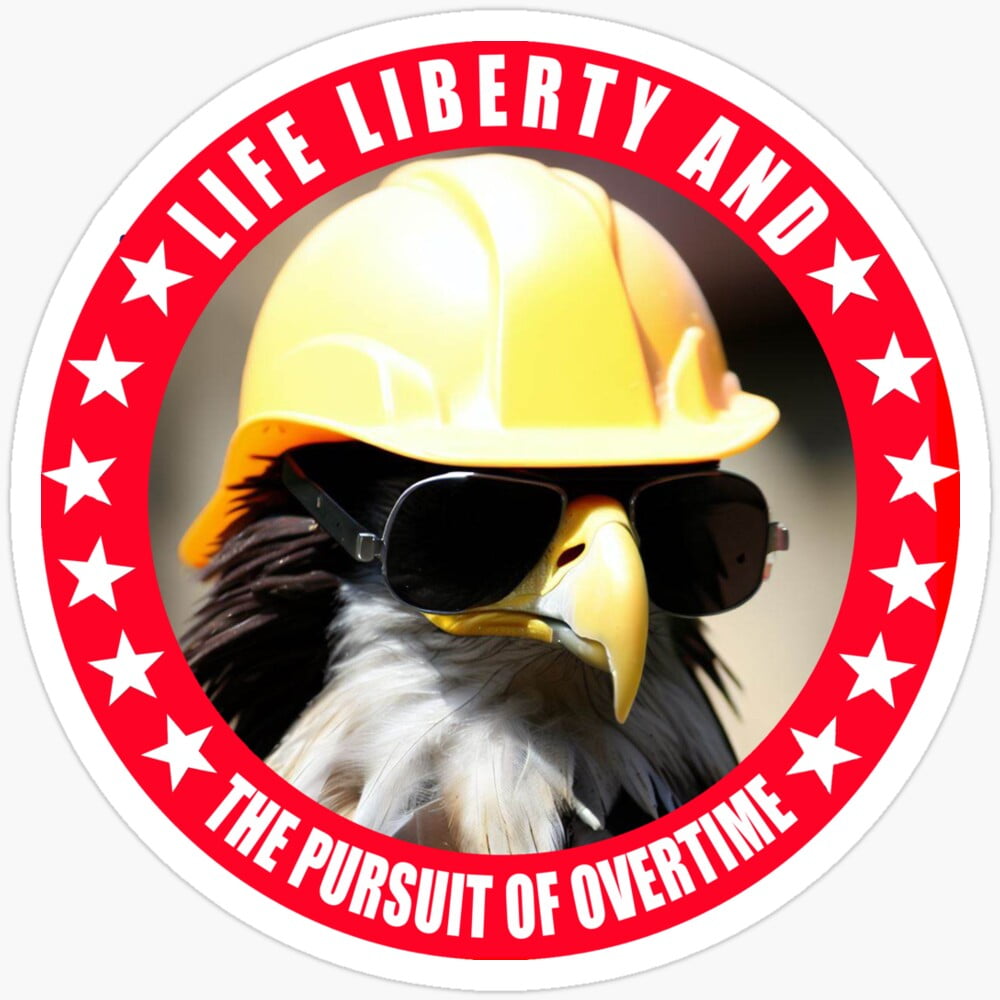 Kira Sticker - Life Liberty And The Pursuit Of Happiness, Eagle Hard ...