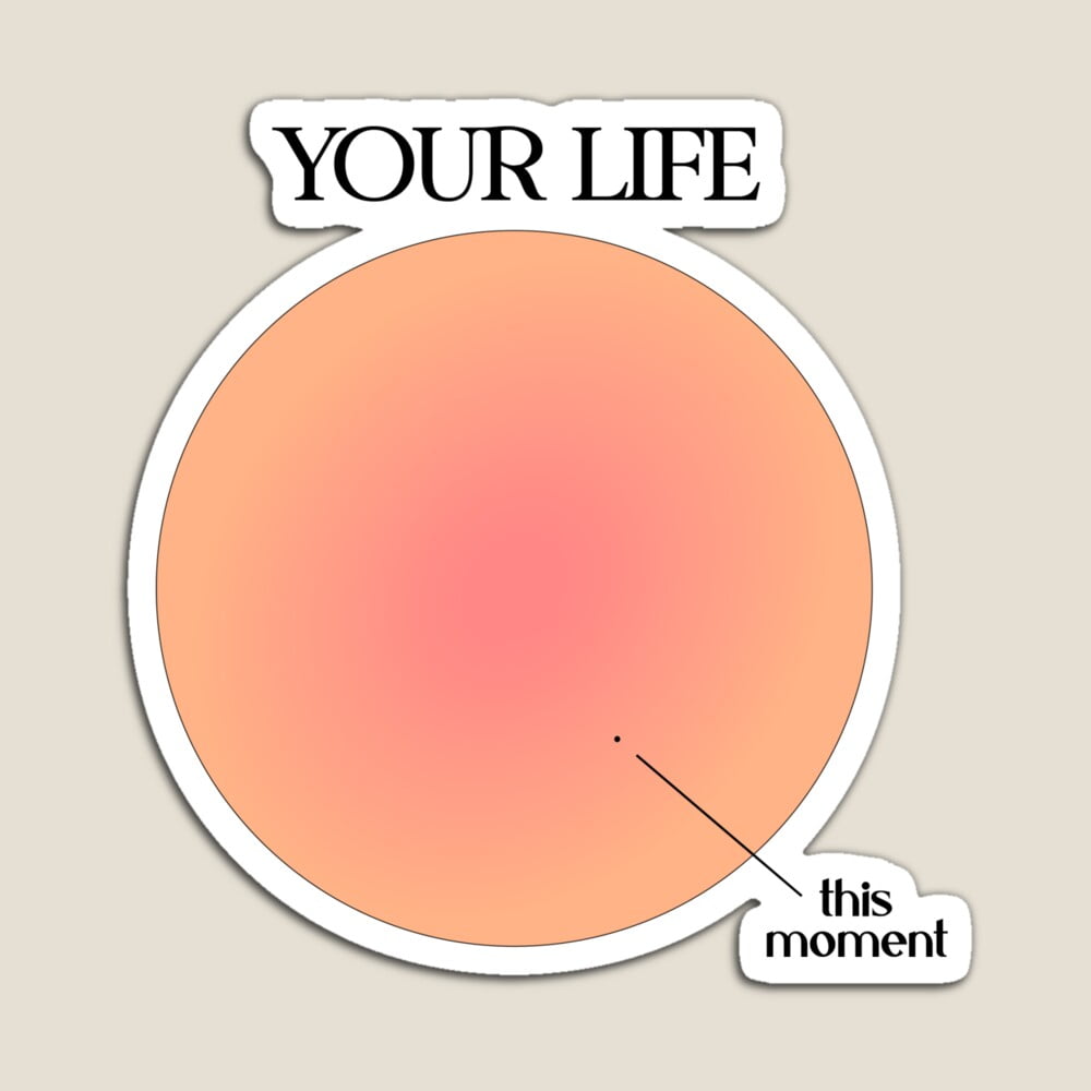 Kira Sticker With Your Life Vs This Moment Visualization Sticker ...