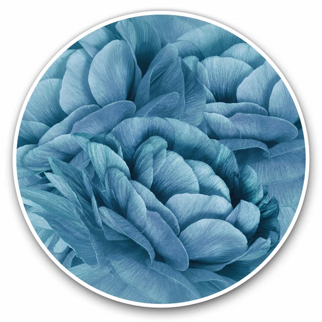 Kira Sticker With Light Blue Flowers Floral Flower Cool Gift Decorative ...