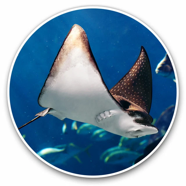 Kira Sticker With Manta Ray Swimming Sea Creature Cool Gift Decorative ...