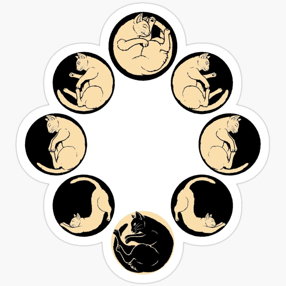 Kira Sticker - Meow Cycle Perfect Sticker Gift For Everyone ) - Walmart.com