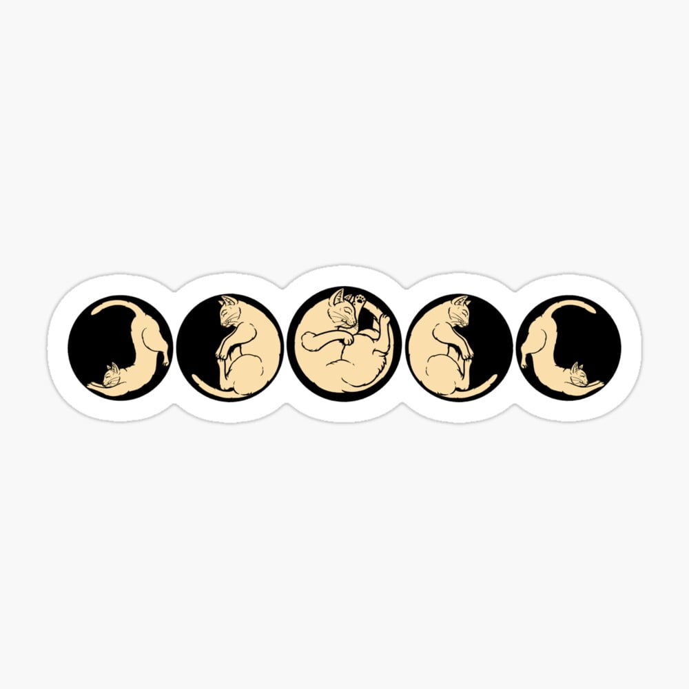 Kira Sticker - Meow Phases Sticker - Single, Trio, Or Squad — Collect ...