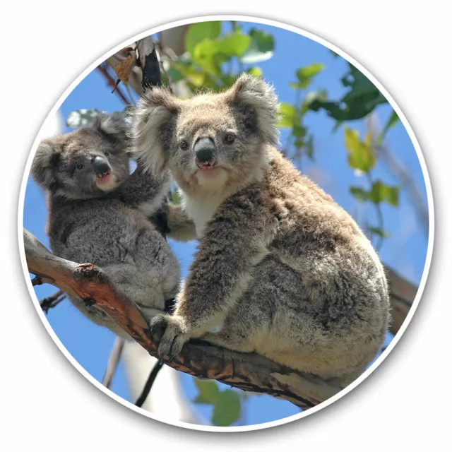 Kira Sticker With Mother & Baby Koala Bear Bears Cool Gift Decorative ...