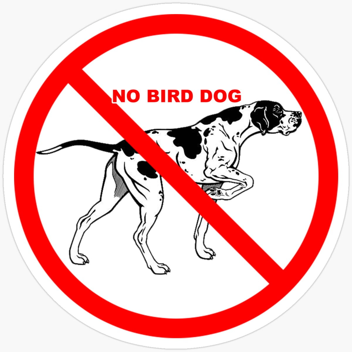 Kira Sticker - No Bird Dog Sticker, Funny Waterproof Decal For Pet ...