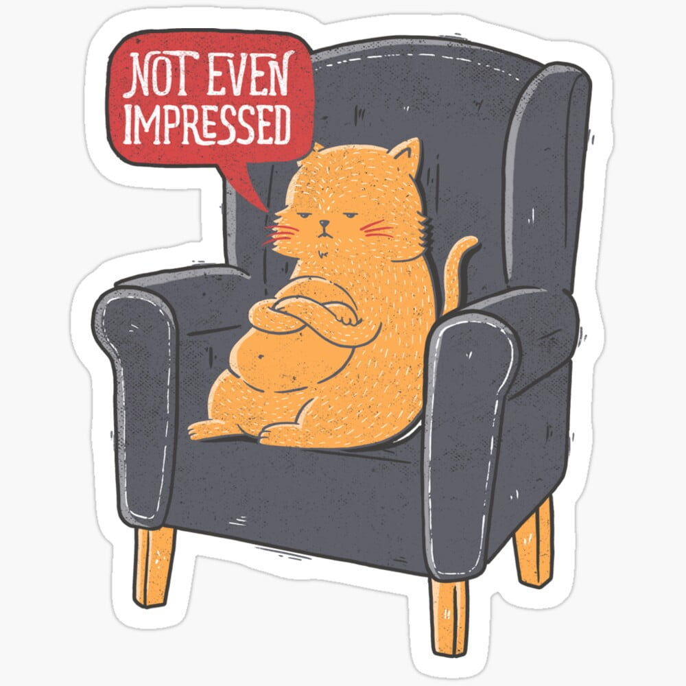 Kira Sticker - Not Even Impressed Sticker - Walmart.com