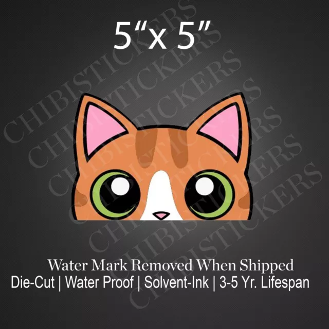 Kira Sticker With Orange And White Tabby Cat Kitten Kawaii Peeker Cat ...