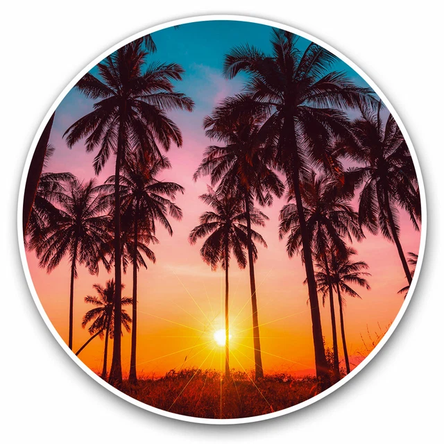 Kira Sticker With Palm Tree Beach Sunset Surf Cool Gift Decorative ...
