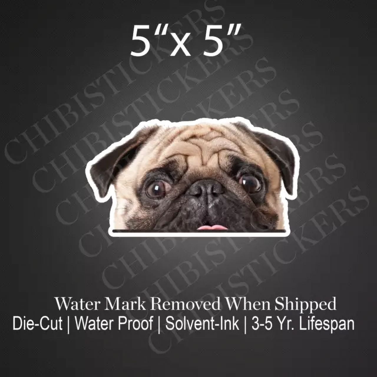 Kira Sticker With Peeking Pug Realistic Dog Peeker Dog Peeker Sticker ...