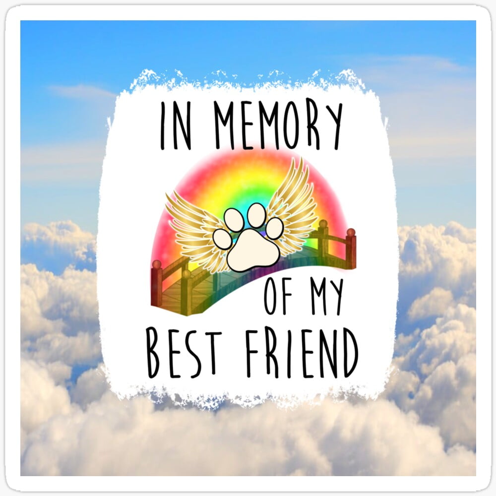 Kira Sticker - Pet Loss In Memory Rainbow Bridge Dog Cat Memorial Keepsake Paw Print Puppy ...