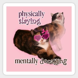 Kira Sticker With Physically Slaying Mentally Decaying Cat Word Art ...