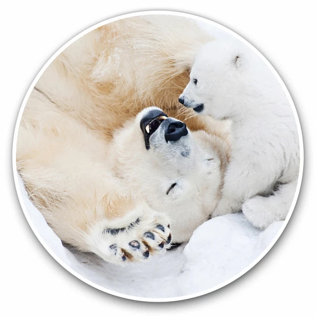 Kira Sticker With Polar Bear Love Mother Cub Cool Gift Decorative ...