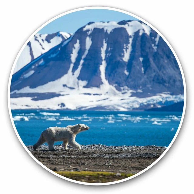 Kira Sticker With Polar Bear Wild Animal Snow Ocean Cool Gift ...