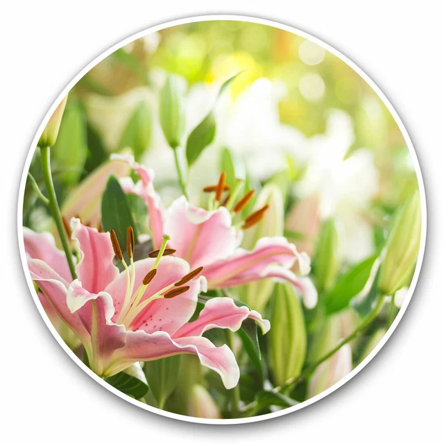 Kira Sticker With Pretty Pink Lily Flowers Lilies Cool Gift Decorative ...