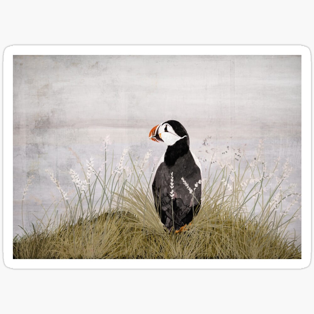 Kira Sticker - Puffin - Phone Stickers, Waterproof Decals Water Bottles ...