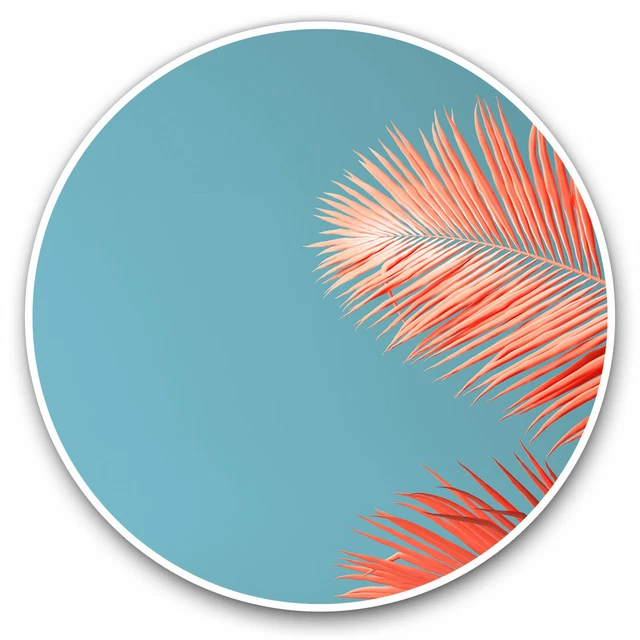 Kira Sticker With Red Tropical Leaf Surf Fun Cool Gift Decorative ...
