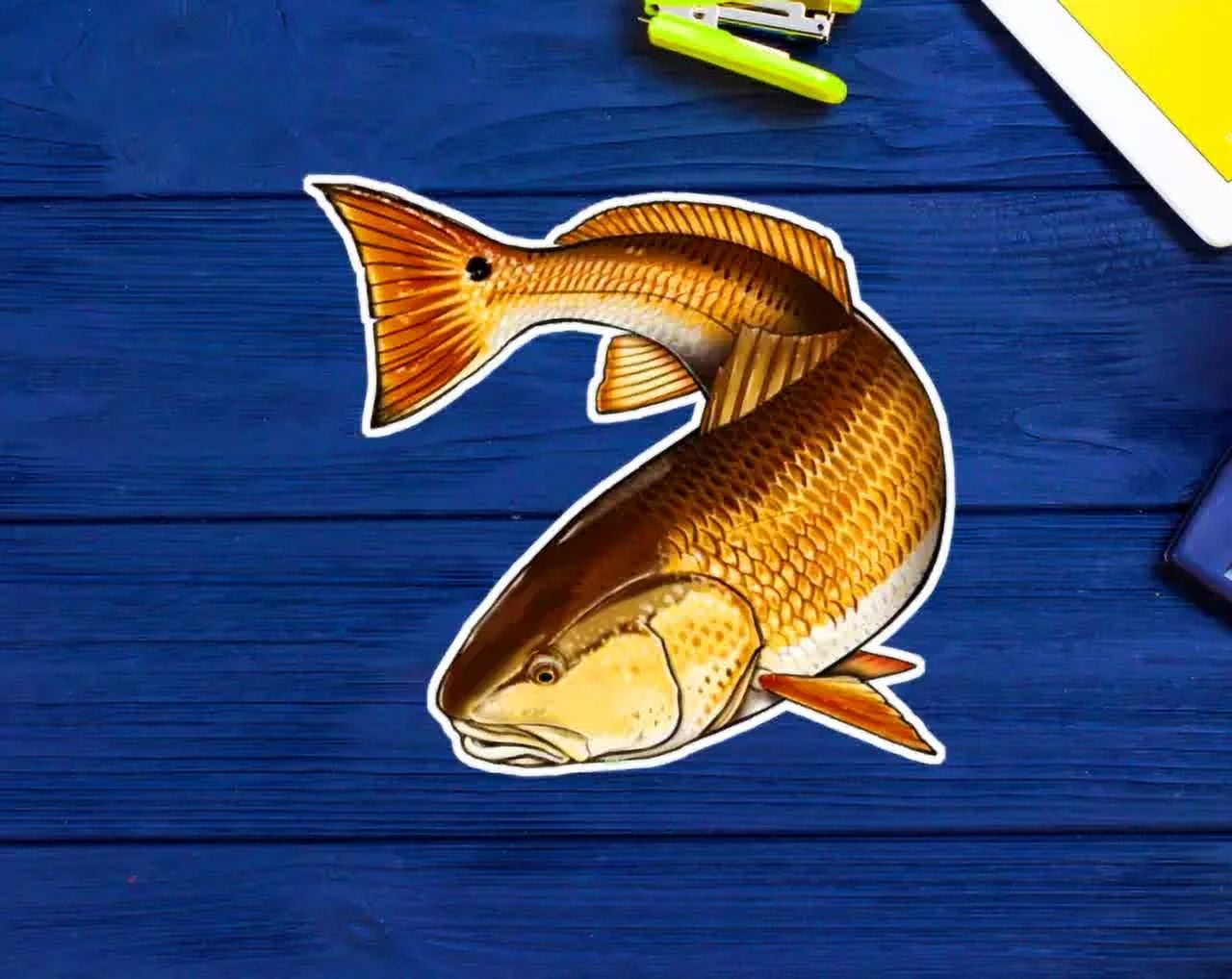 Kira Sticker With Redfish Red Drum Decal To Indoor Outdoor Laptop ...