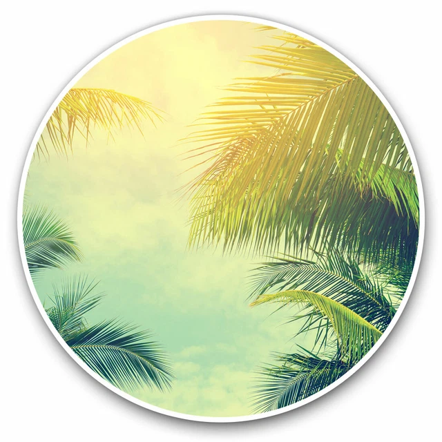 Kira Sticker With Retro Palm Tree Surf Beach Cool Gift Decorative ...