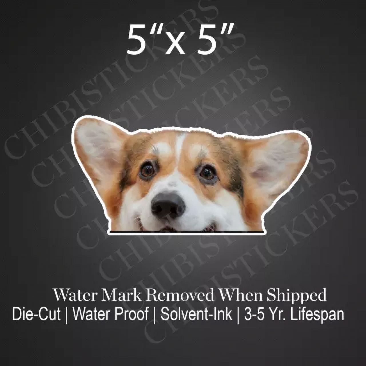 Kira Sticker With Sable Tri Color Corgi Realistic Dog Peeker Sticker ...