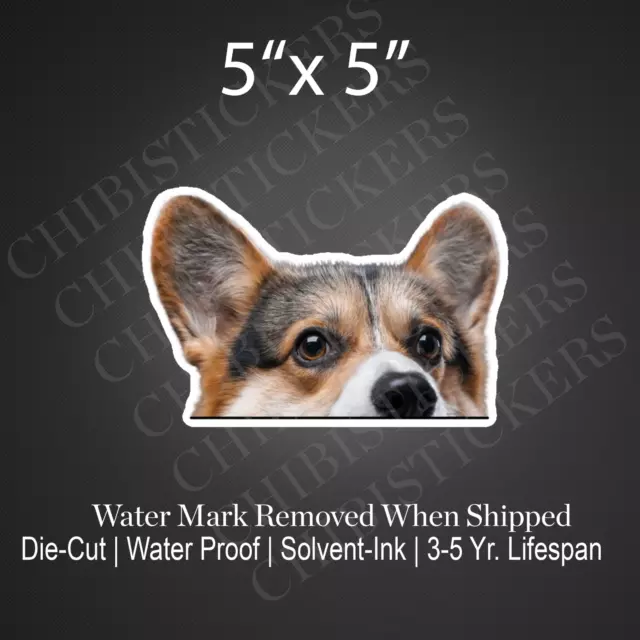 Kira Sticker With Sable Tri Color Corgi Realistic Dog Vinyl Waterproof ...