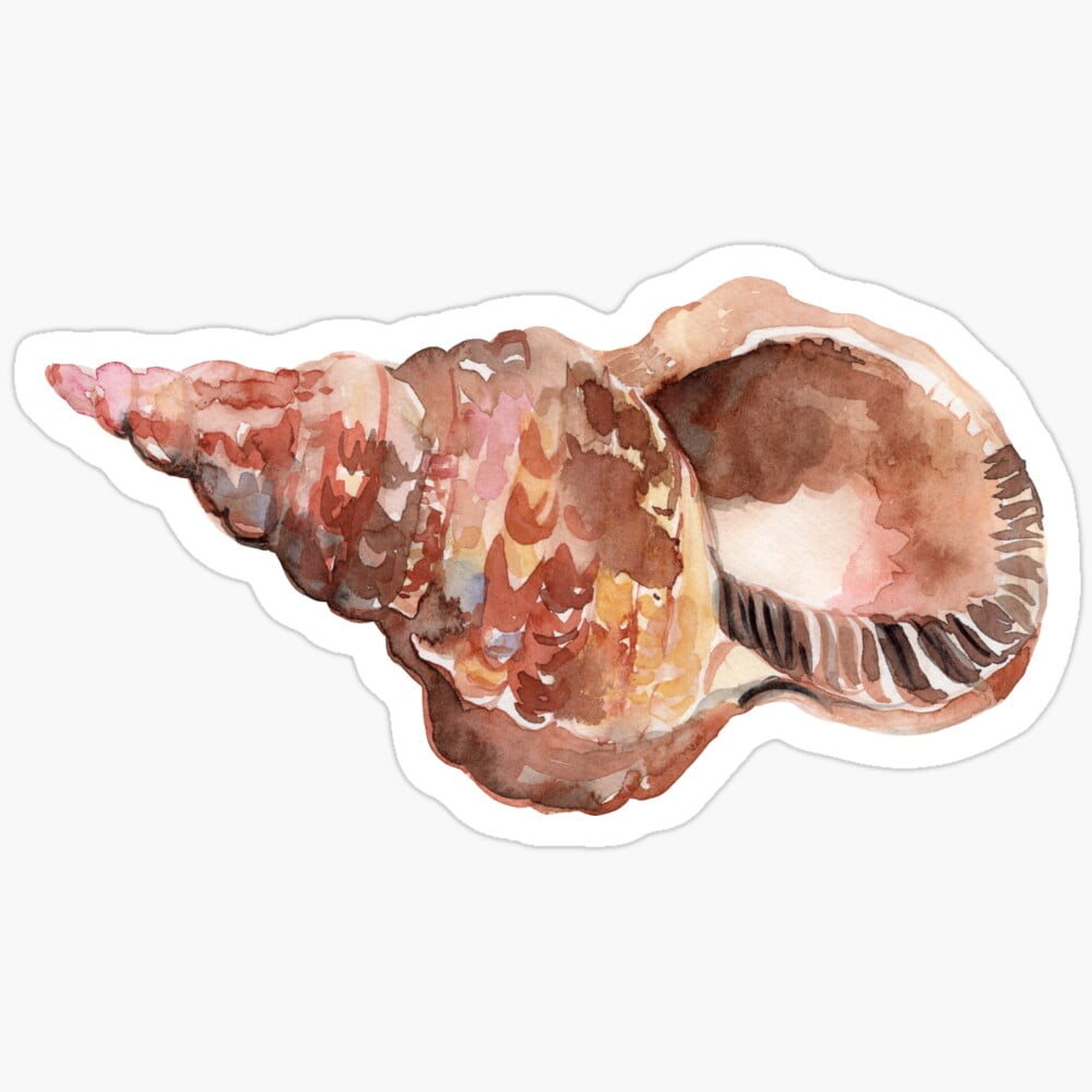 Kira Sticker Seashell - Perfect Birthday Gift For Everyone - Walmart.com
