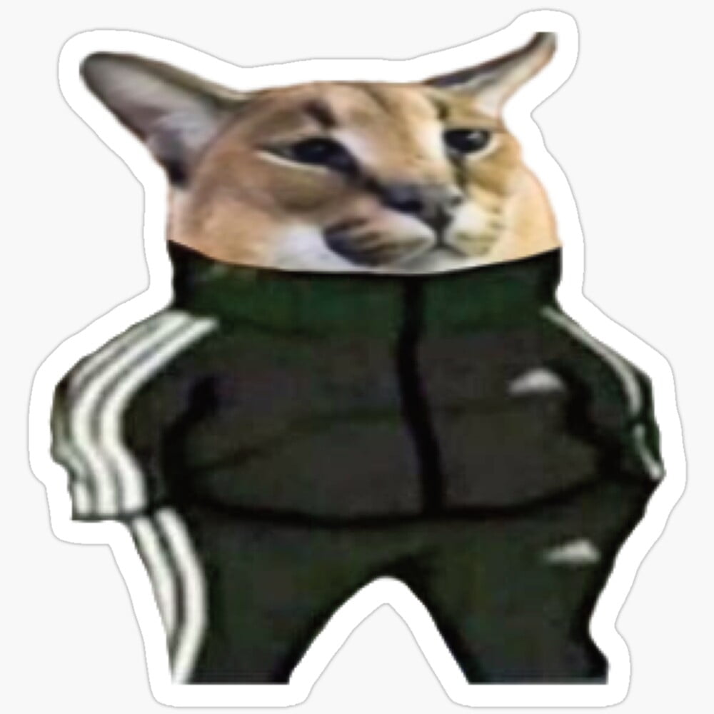 Kira Sticker - Slav Floppa Aka Sloppa Sticker - Single, Trio, Or Squad ...