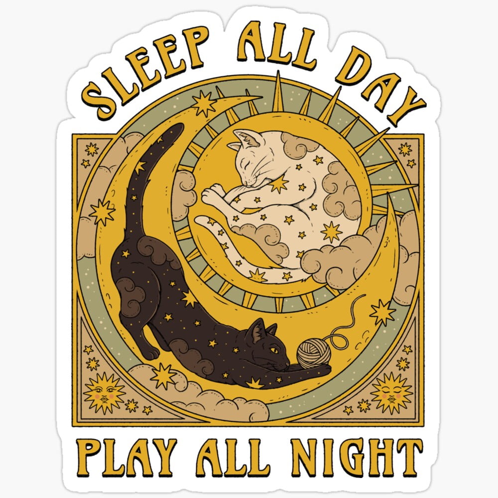 Kira Sticker With Sleep All Day, Play All Night Glossy Decorative ...