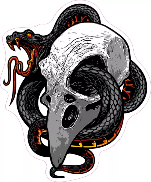 Kira Sticker With Snake Going Through Skull Window Decal Decorative ...